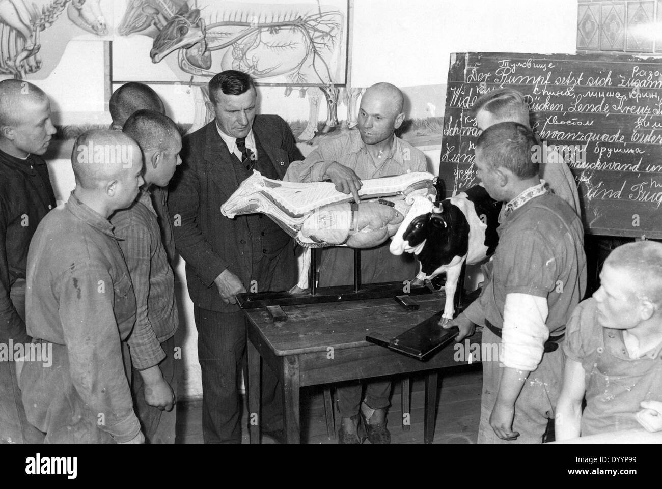 Formation of forced laborers in agriculture, 1942 Stock Photo - Alamy