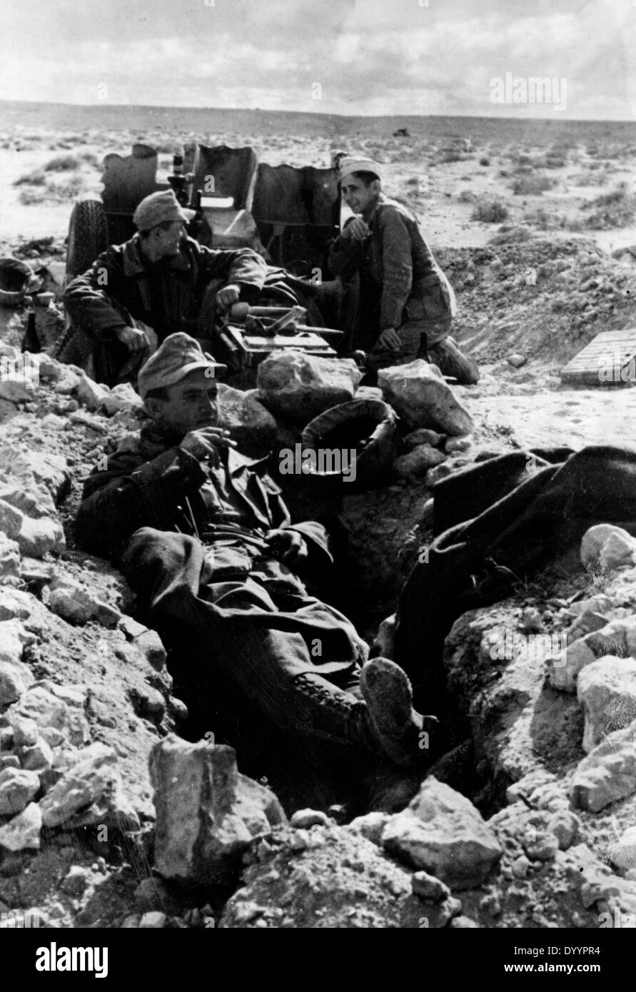 Military action on the egytian border, battle of El Alamein, 1942 Stock Photo - Alamy