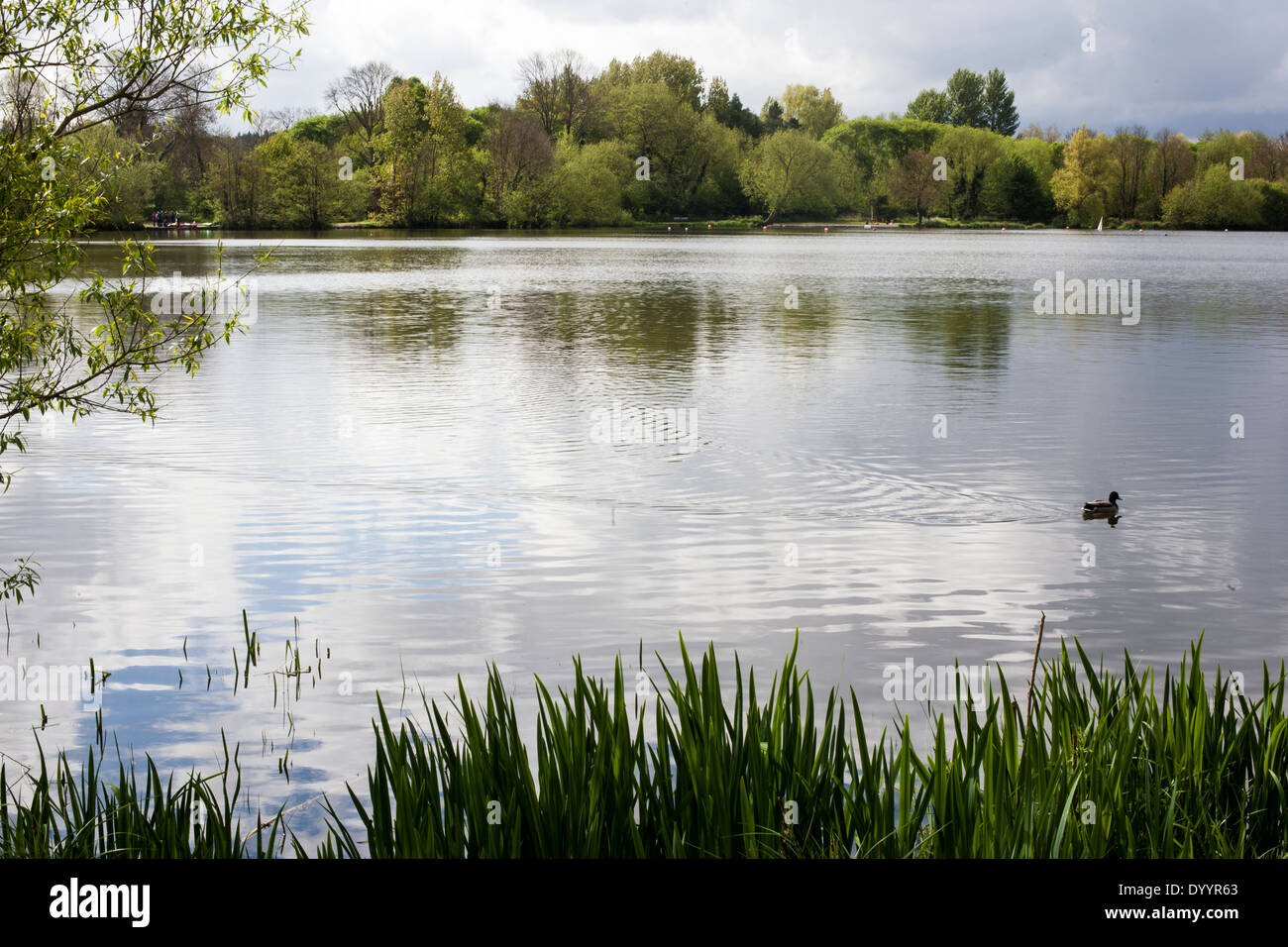Batchworth park hi-res stock photography and images - Alamy