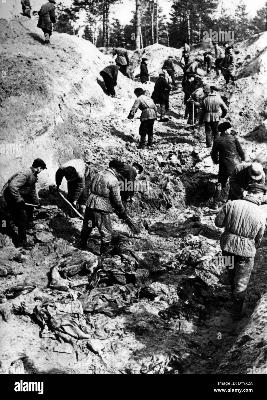 Katyn exhumation hi-res stock photography and images - Alamy