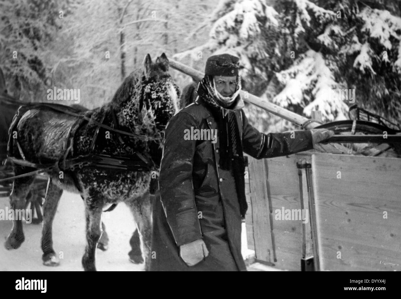 Winter campaign, 1941-1942 Stock Photo - Alamy