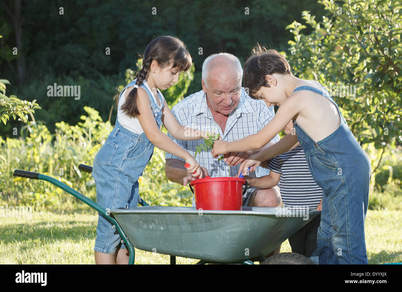 Children helping elderly hi-res stock photography and images - Alamy