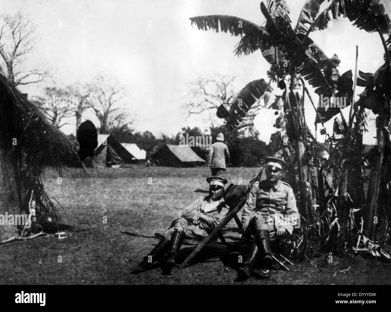 Rainforest base Black and White Stock Photos & Images - Alamy