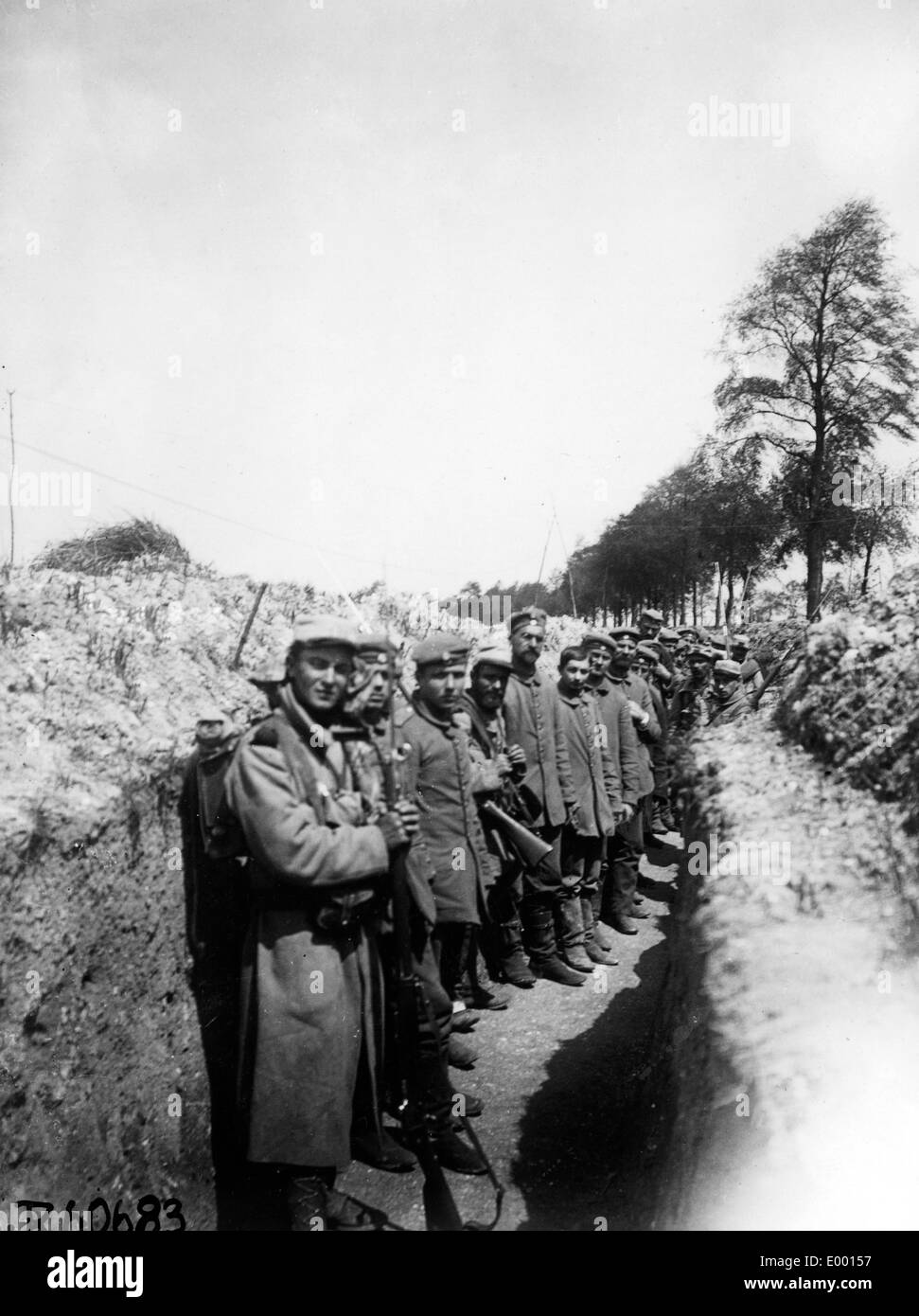 Captivity return hi-res stock photography and images - Alamy