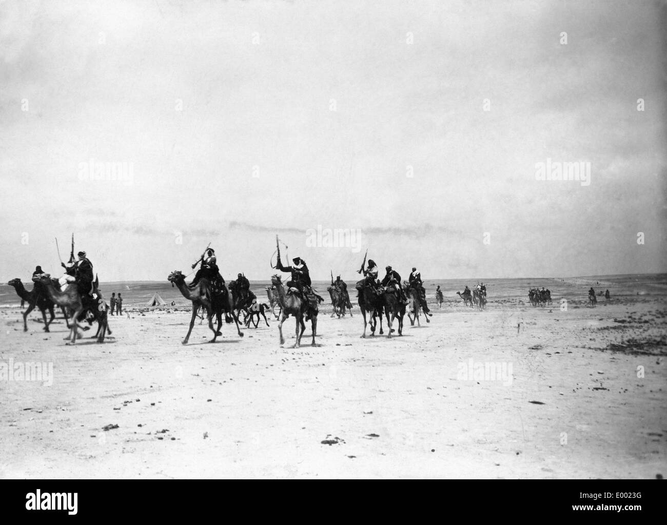 War camels hi-res stock photography and images - Alamy