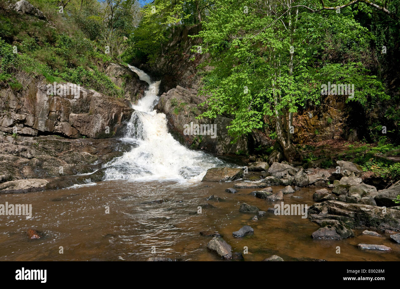 grande cascade, mortain, normandy, france Stock Photo - Alamy