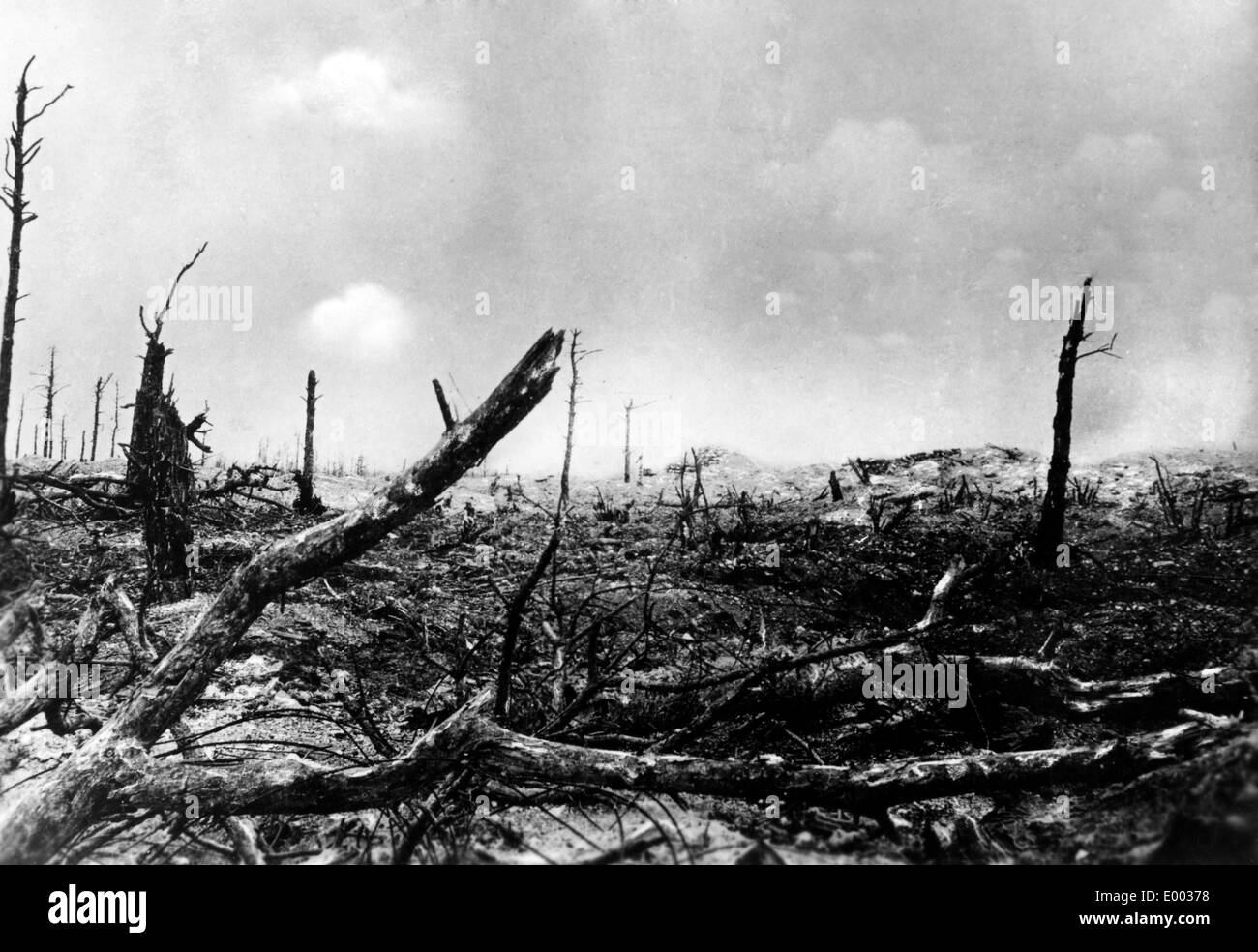 Destroyed battlefield, 1915 Stock Photo - Alamy