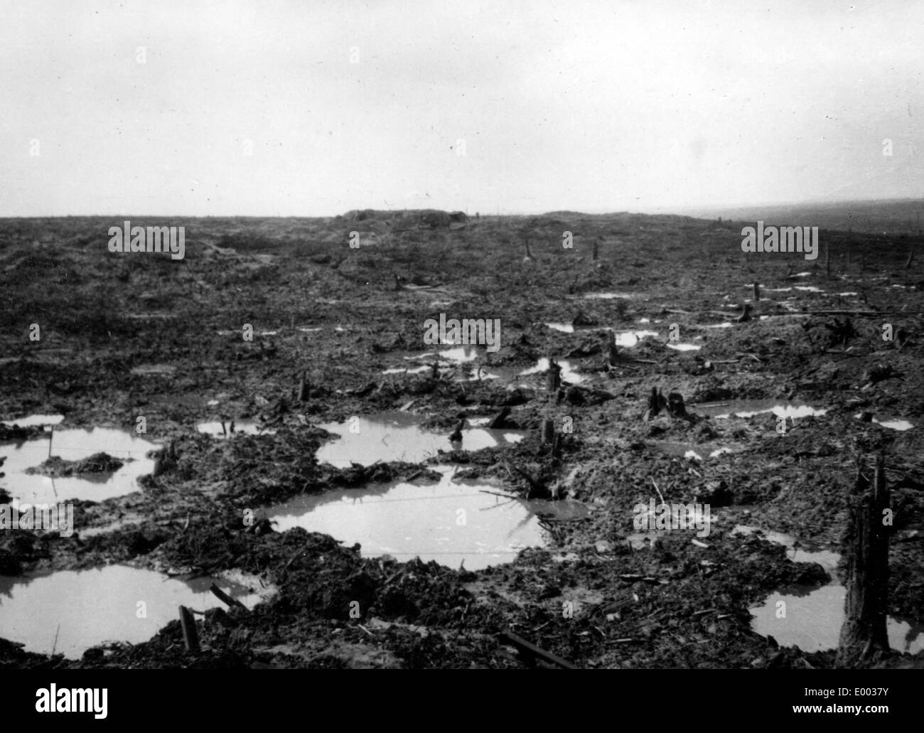 Crater landscape in Flanders during the First World War Stock Photo - Alamy