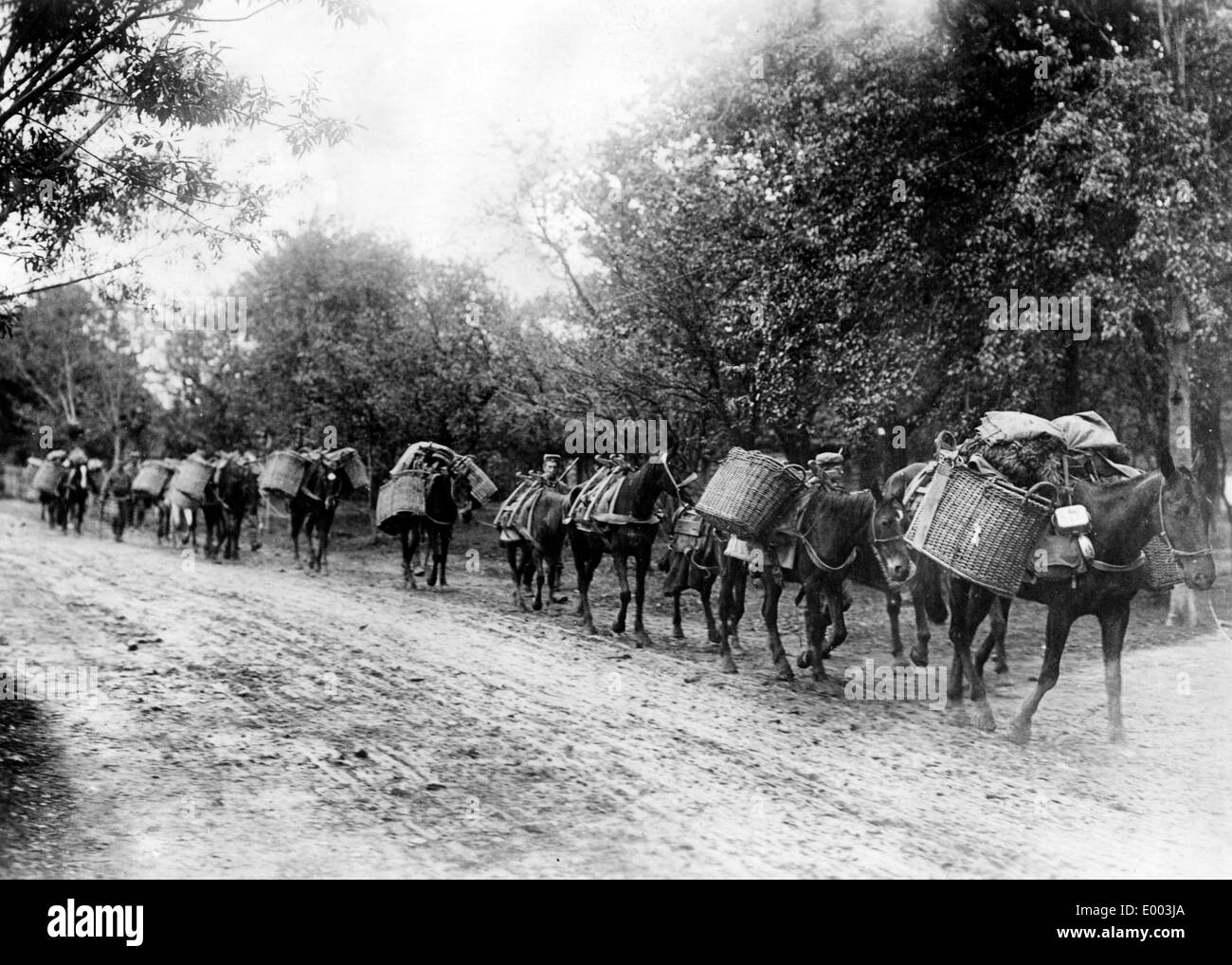 Train in eastern europe Black and White Stock Photos & Images - Alamy
