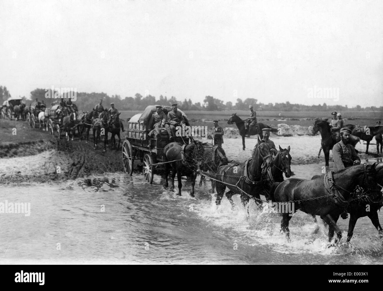 A German baggage train crosses a ford, 1915 Stock Photo - Alamy