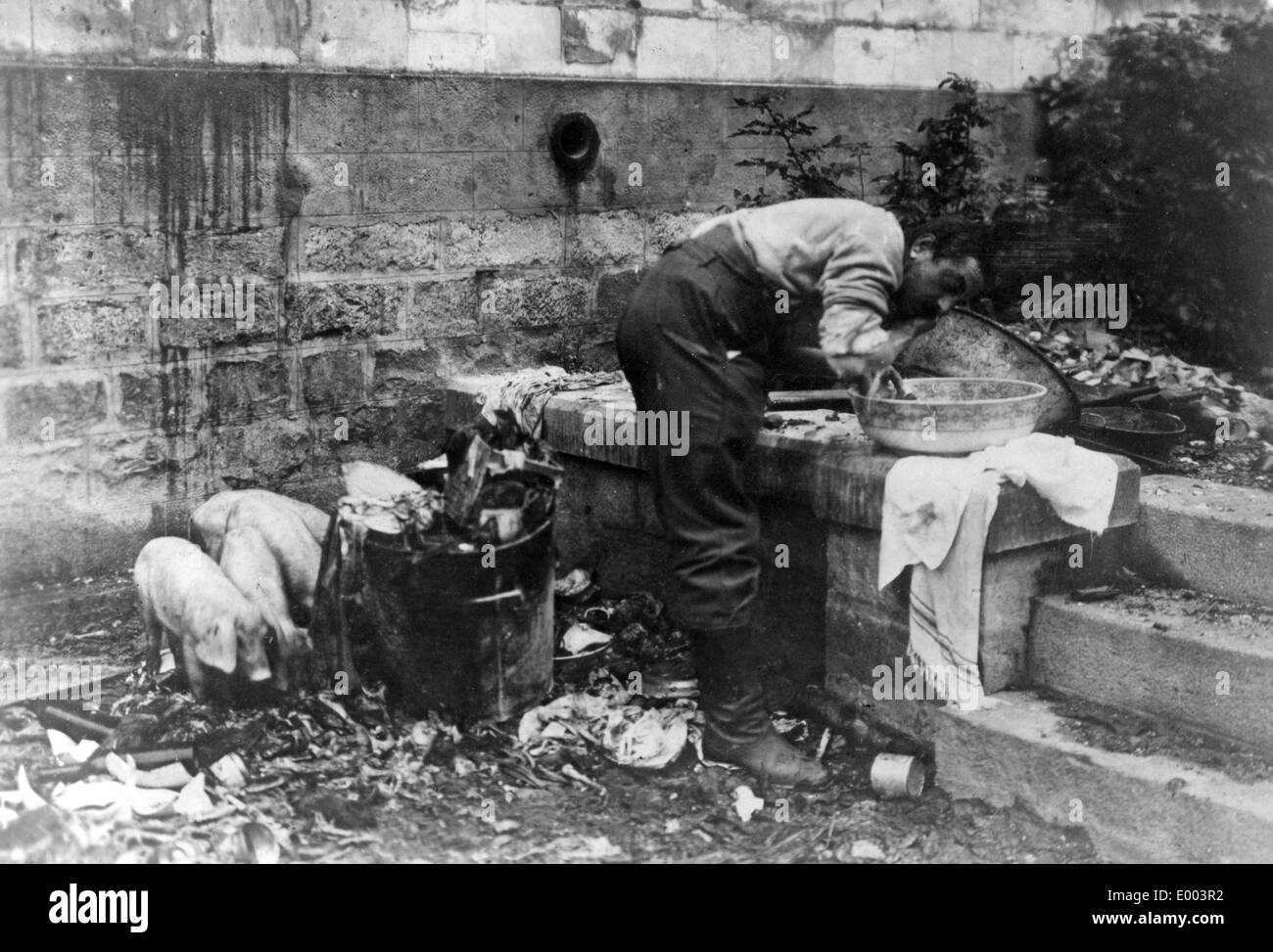 Pig wash Black and White Stock Photos & Images - Alamy