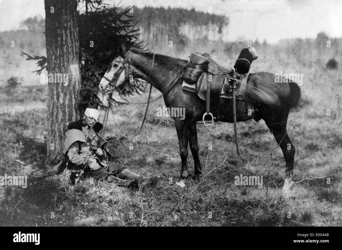 Hungarian horses Black and White Stock Photos & Images - Alamy