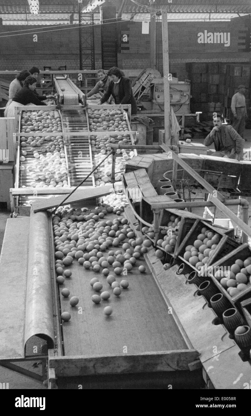 Women assembly line hi-res stock photography and images - Alamy