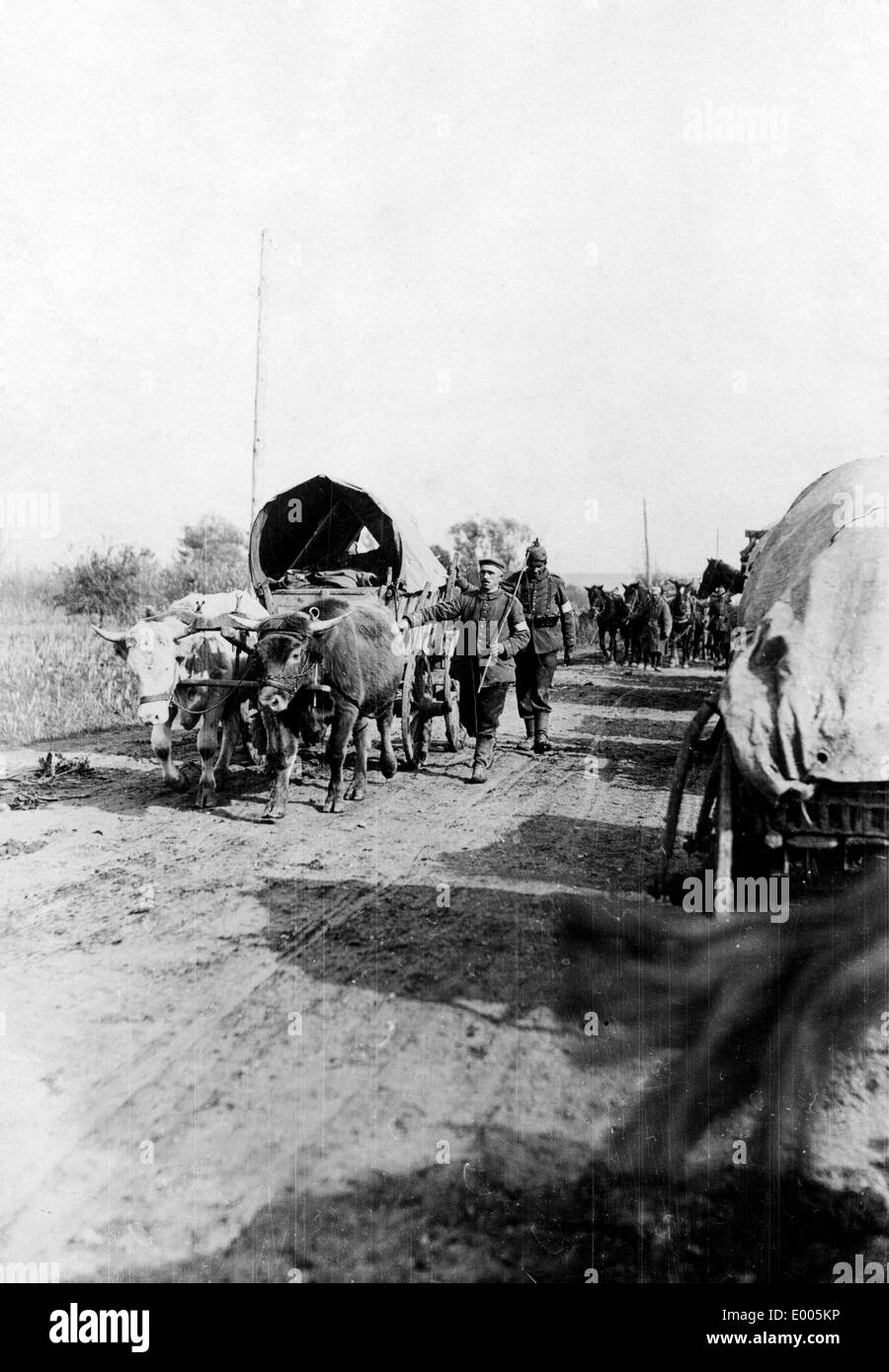 German train vehicle in Serbia, 1916 Stock Photo - Alamy
