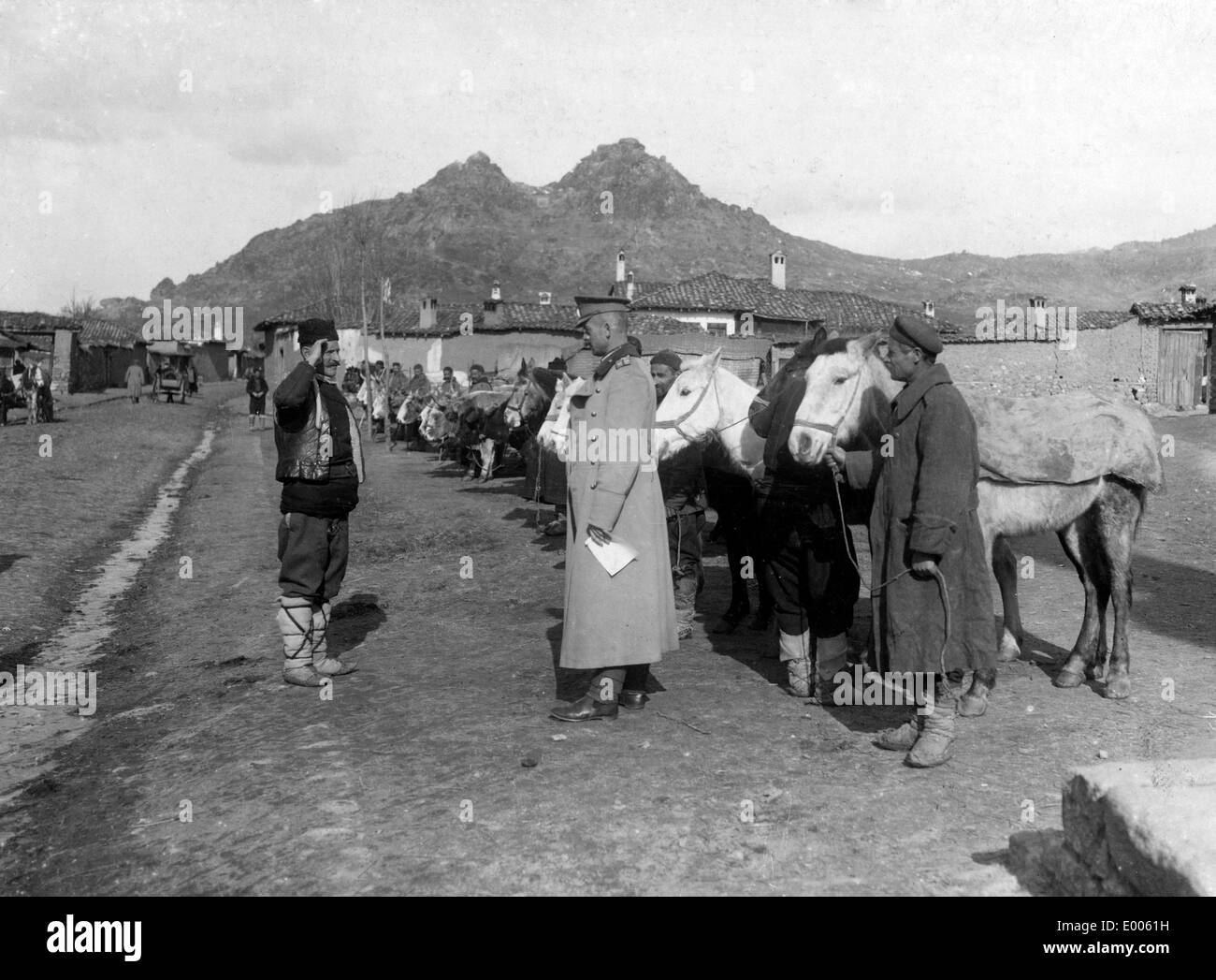 Horse muster at a bulgarian train in Prilep, 1916 Stock Photo - Alamy