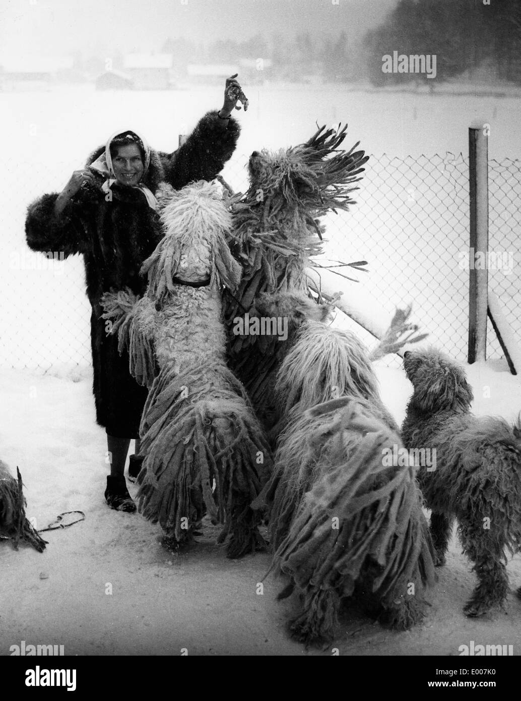 Human feeding animal Black and White Stock Photos & Images - Alamy