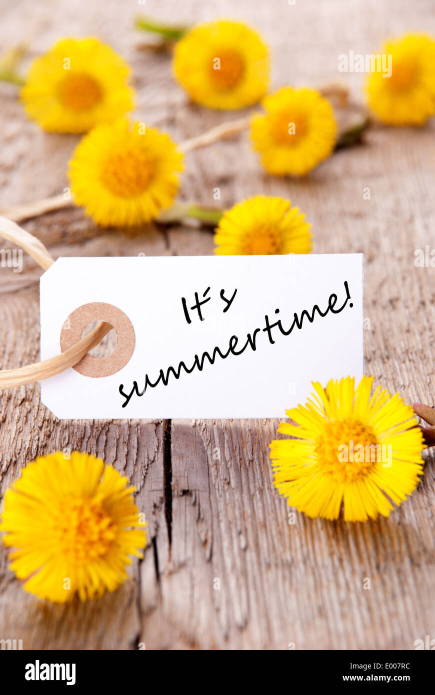 White Label with its Summertime on it and many yellow Flowers Stock ...