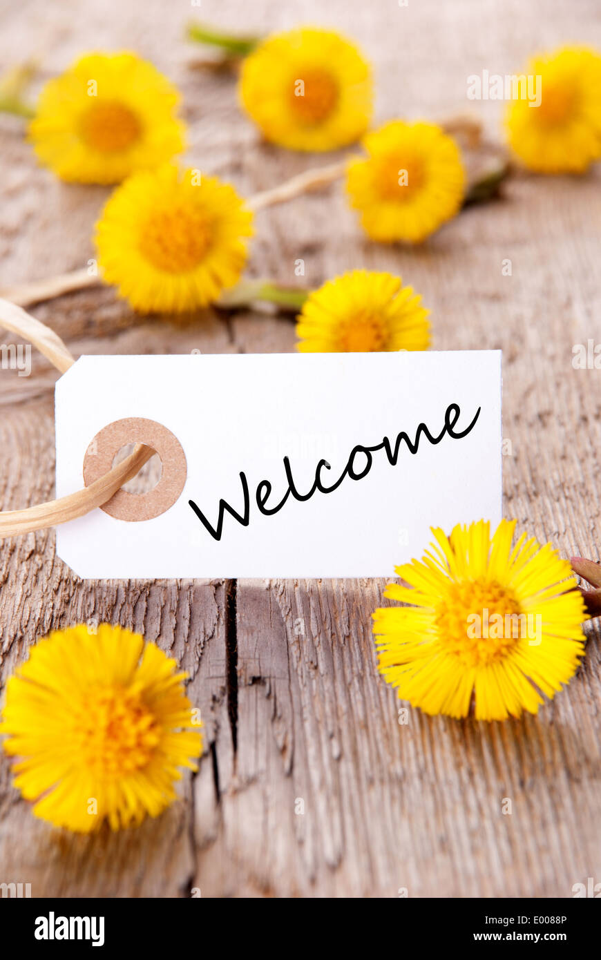 Hotel welcome flowers hi-res stock photography and images - Alamy