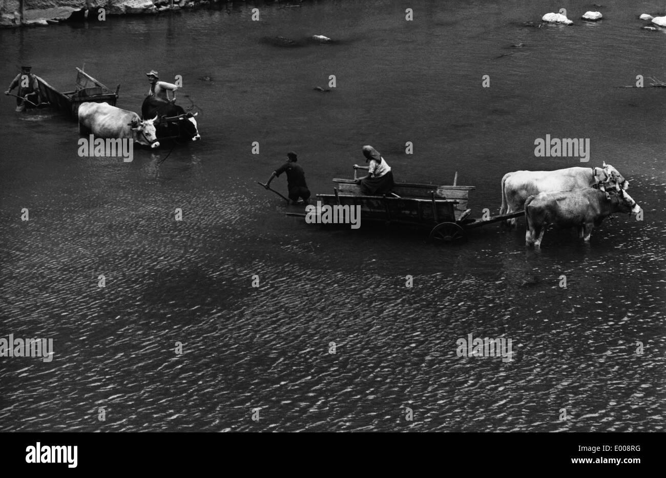 Morava river Black and White Stock Photos & Images - Alamy