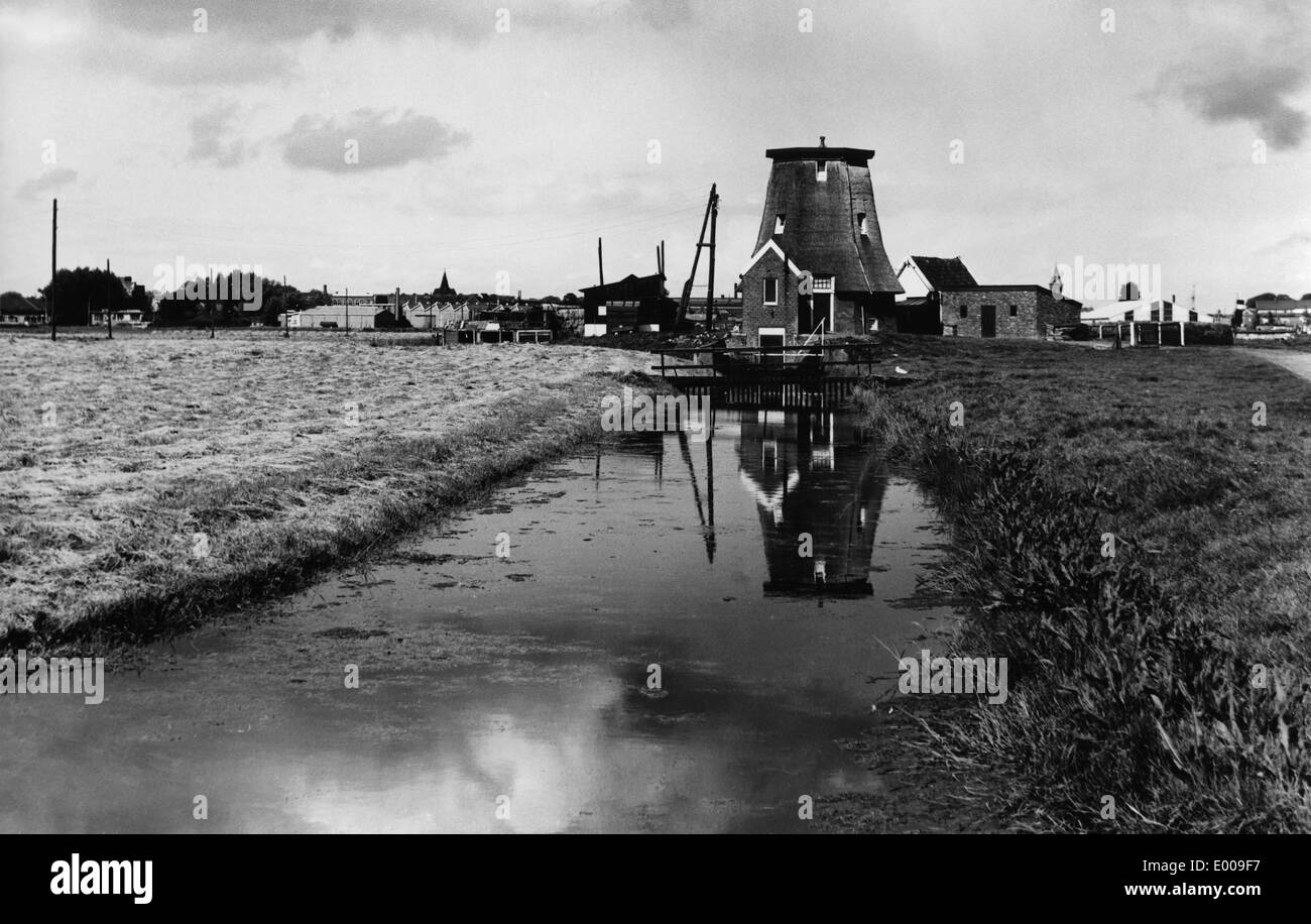1960 haarlem hi-res stock photography and images - Alamy