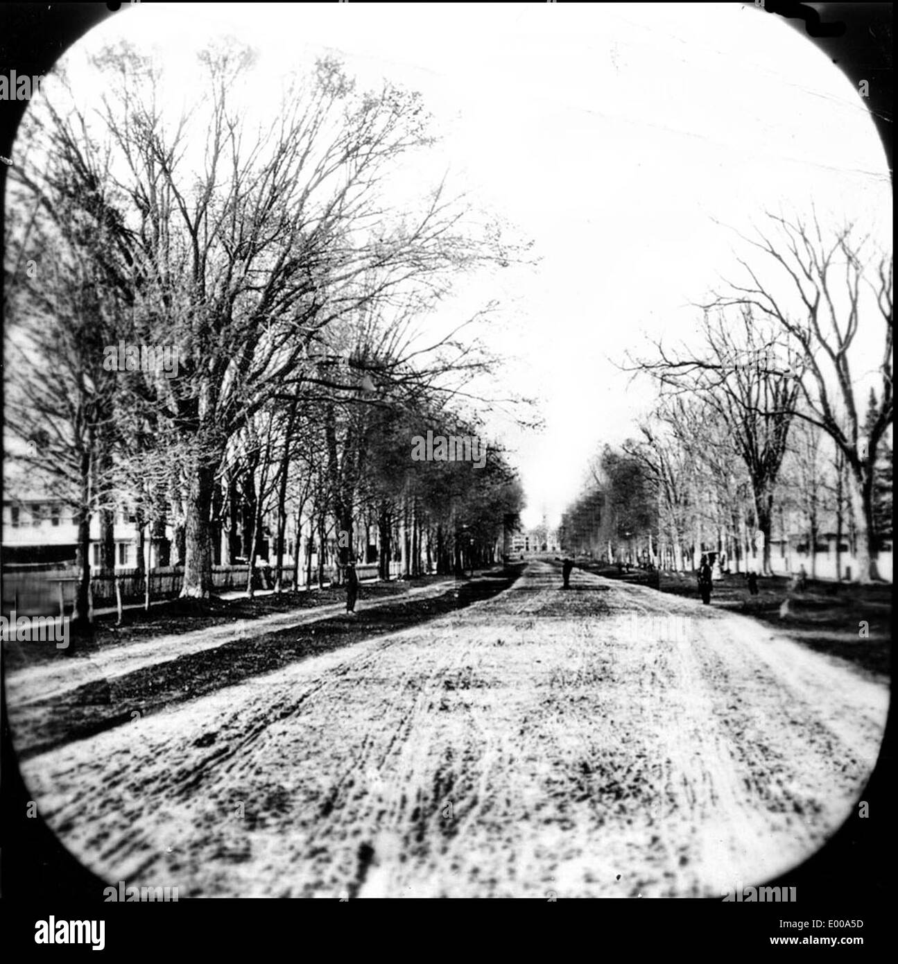 Historic buildings urban street Black and White Stock Photos & Images ...