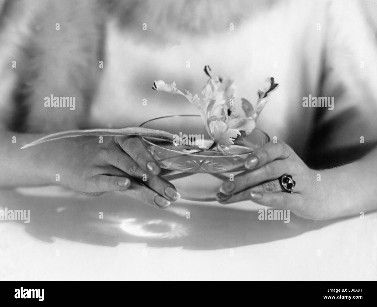 868886 hi-res stock photography and images - Alamy