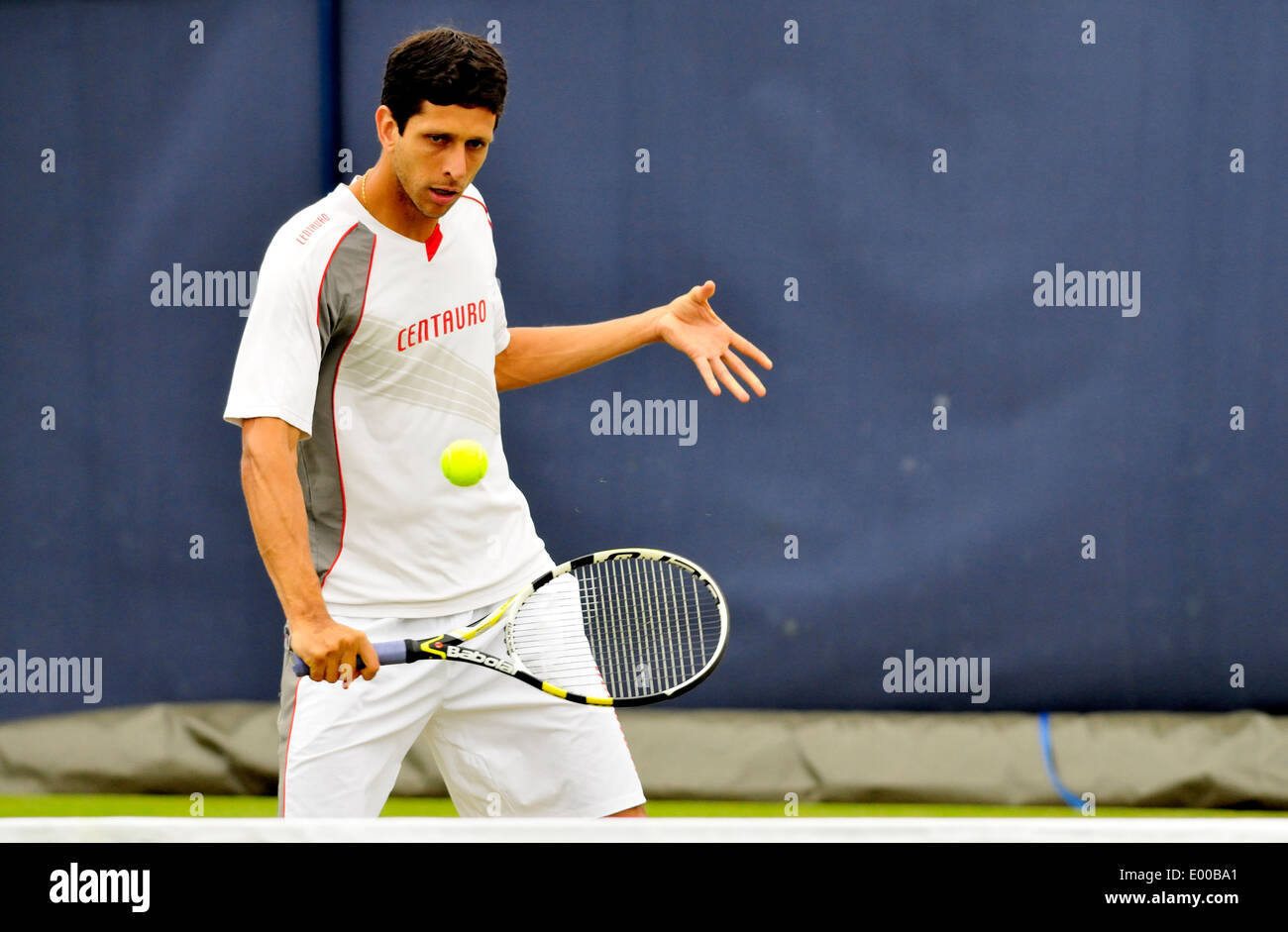 Marcelo melo hi-res stock photography and images - Alamy