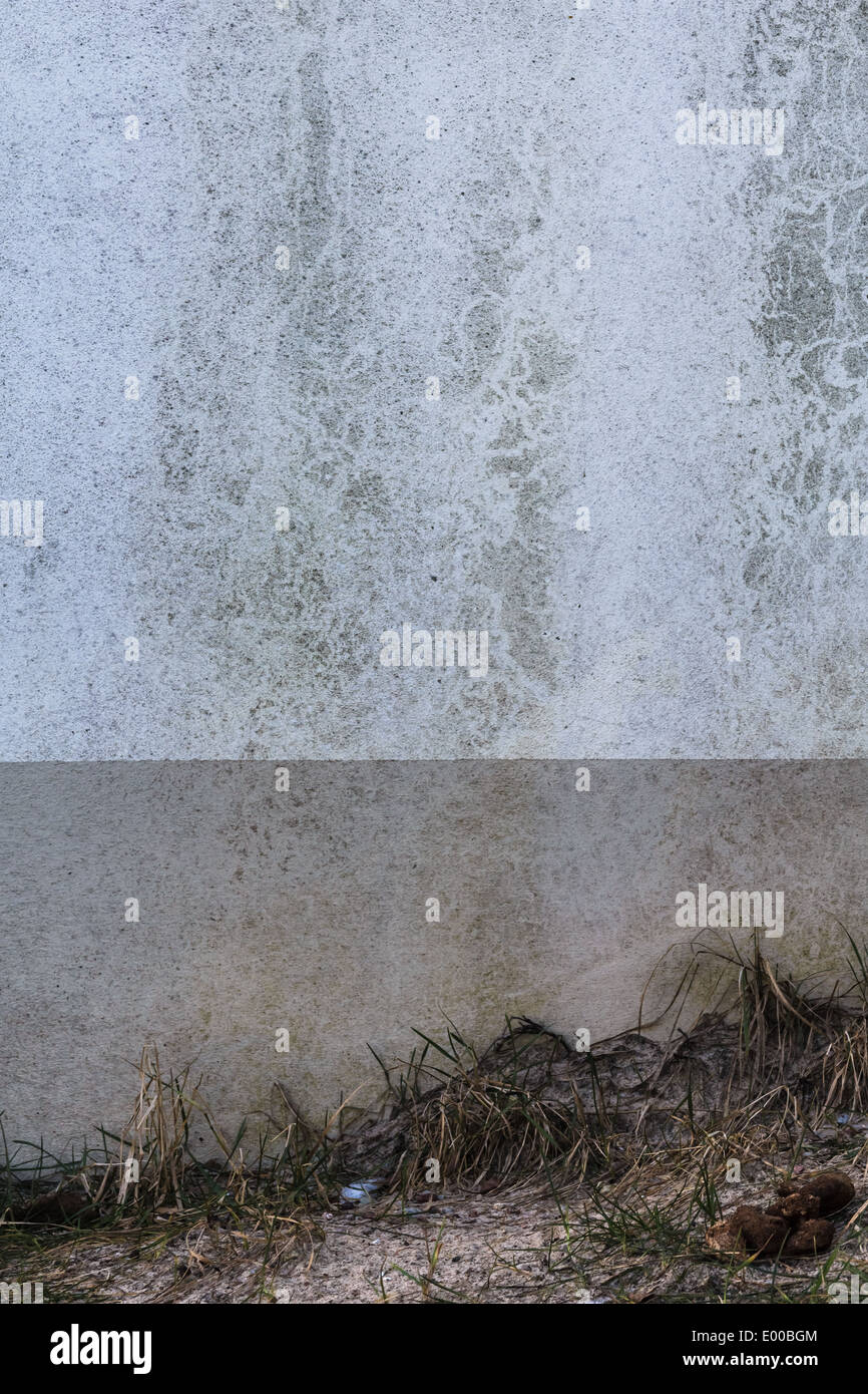 Paint messy background hi-res stock photography and images - Alamy