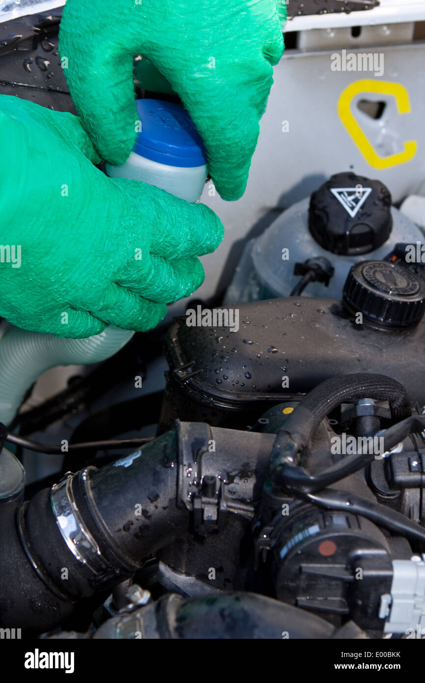 Check motor hi-res stock photography and images - Alamy