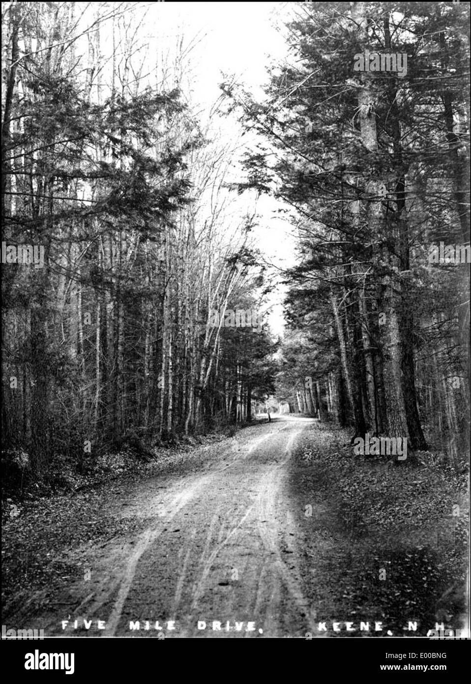 The 'Five Mile Drive in Dinsmoor Woods' captures the serene landscape ...