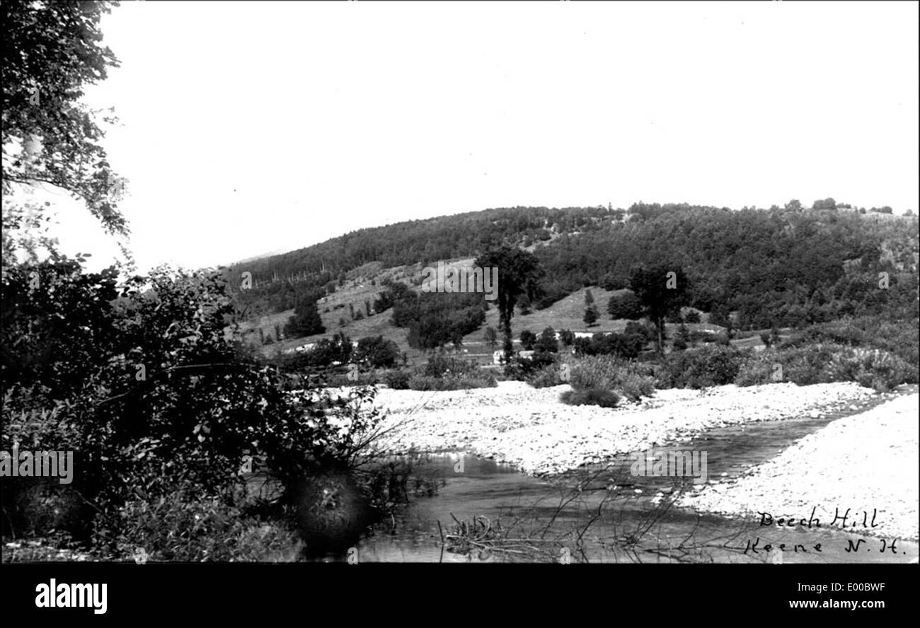 Beech hill hi-res stock photography and images - Alamy