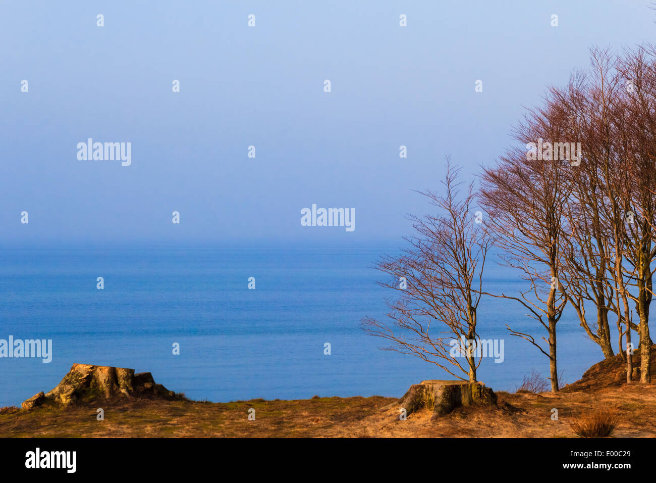 Panorama of the sea with the forest Stock Photo - Alamy