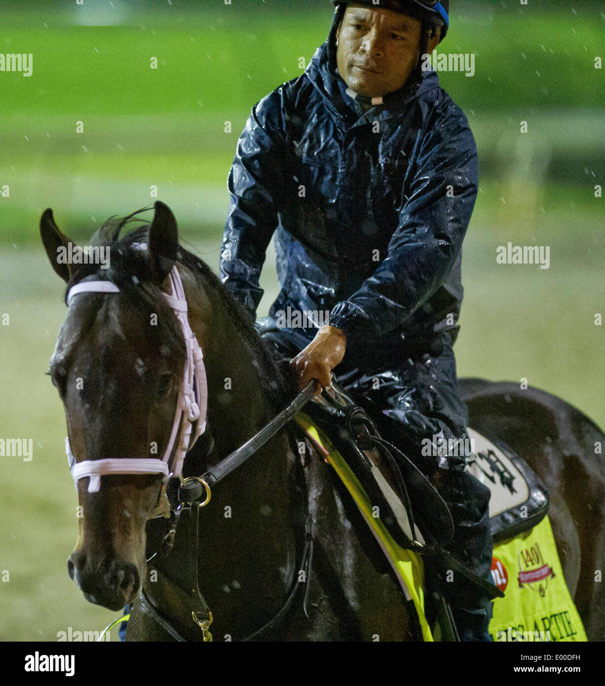 Miss Derby High Resolution Stock Photography and Images - Alamy