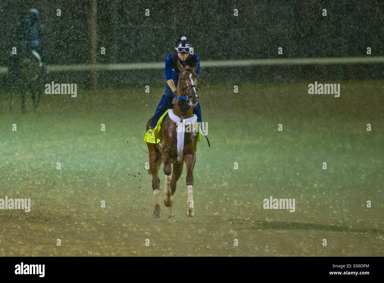 Tapiture Most Popular Photos