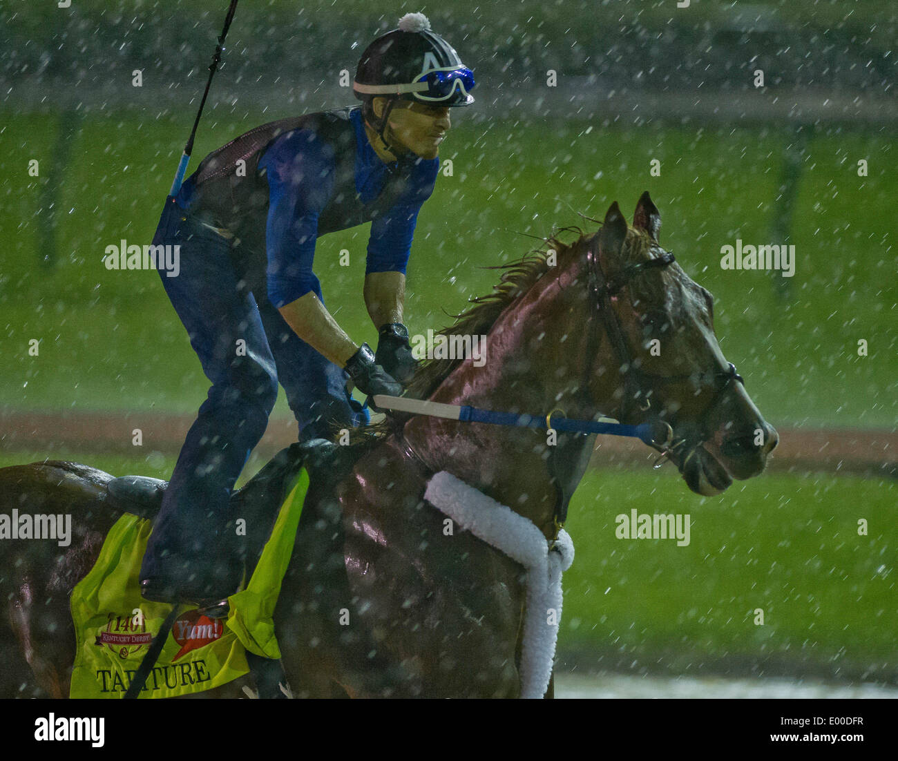 Tapiture Most Popular Photos