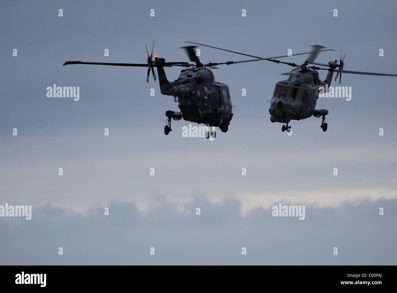 Royal Navy Black Cats Stock Photo - Alamy