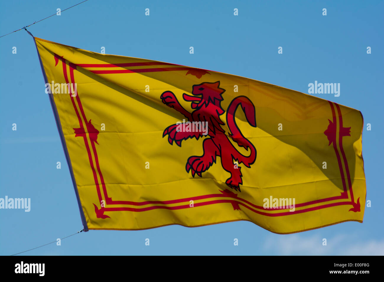Lion rampant flag scotland hi-res stock photography and images - Alamy