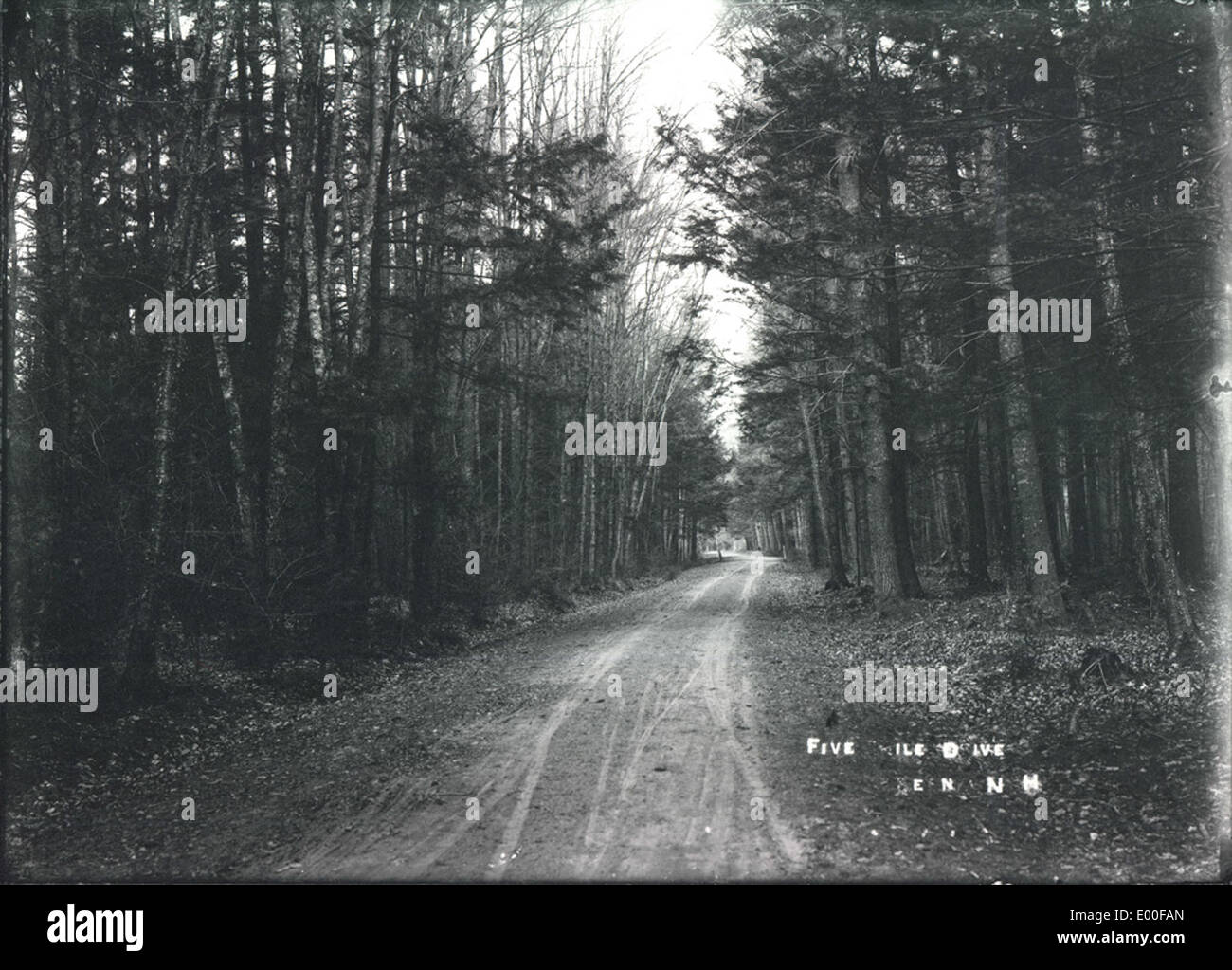 Five Mile Drive 1 Stock Photo - Alamy