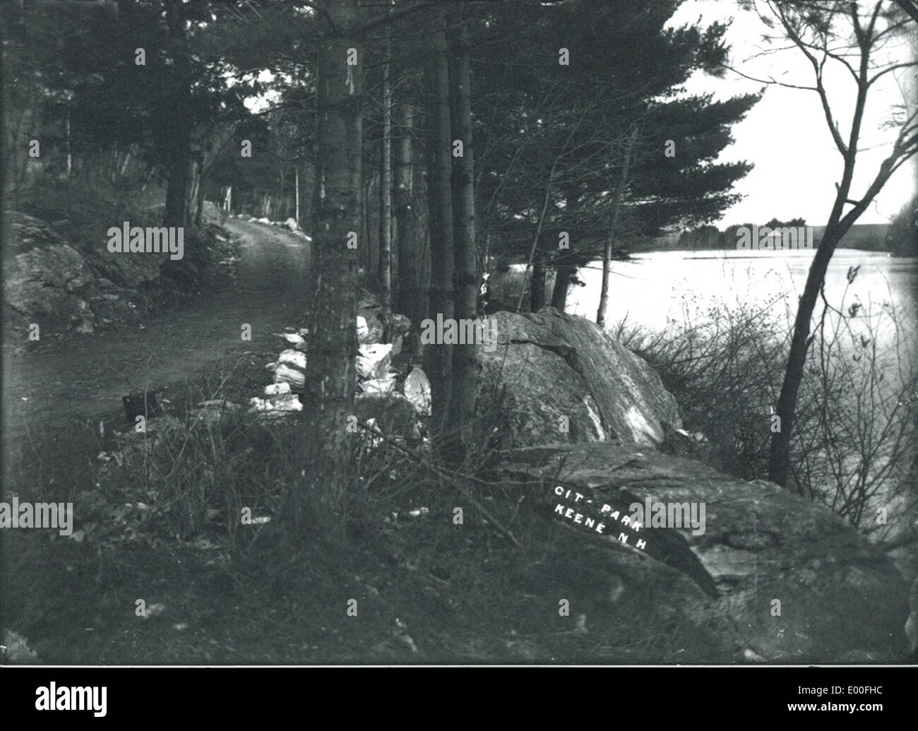 Beech hill hi-res stock photography and images - Alamy