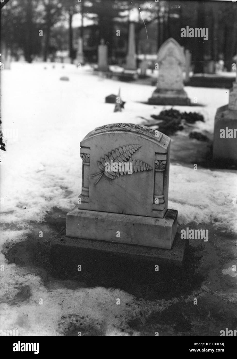 Old growth cemetery Black and White Stock Photos & Images - Alamy