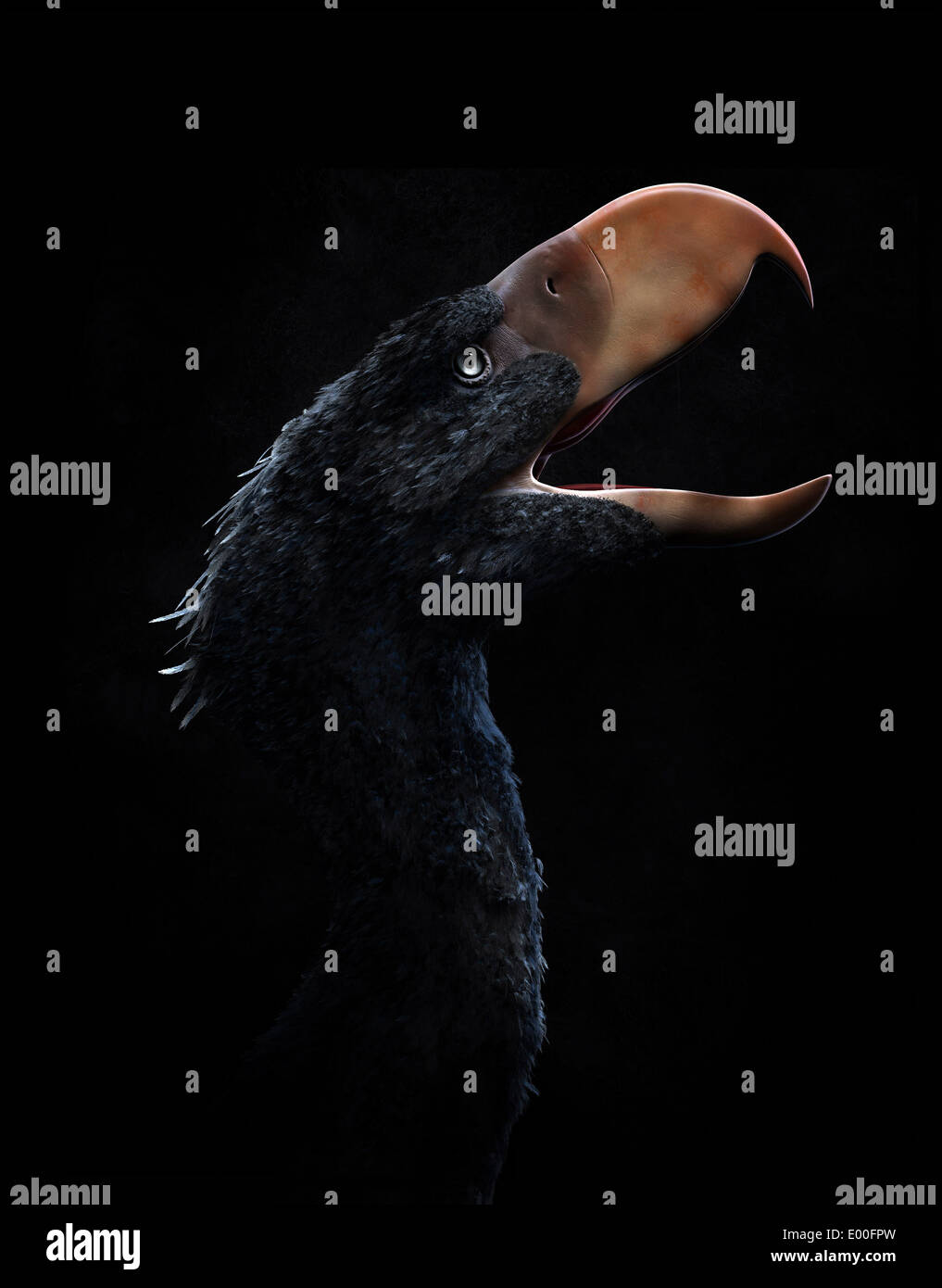 Miocene era hi-res stock photography and images - Alamy