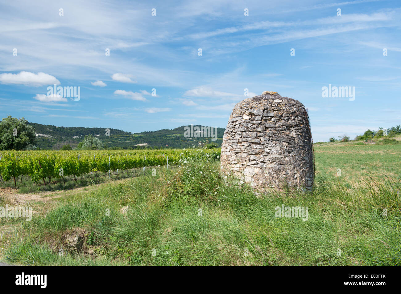 Roman vineyard landscape hi-res stock photography and images - Alamy