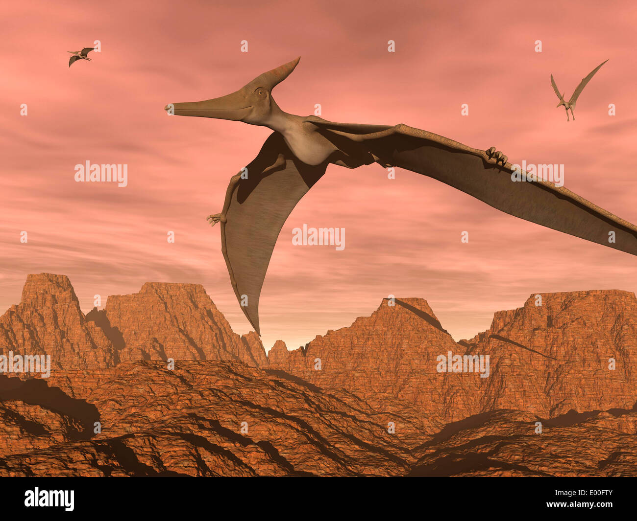 Prehistoric flying animals hi-res stock photography and images - Alamy