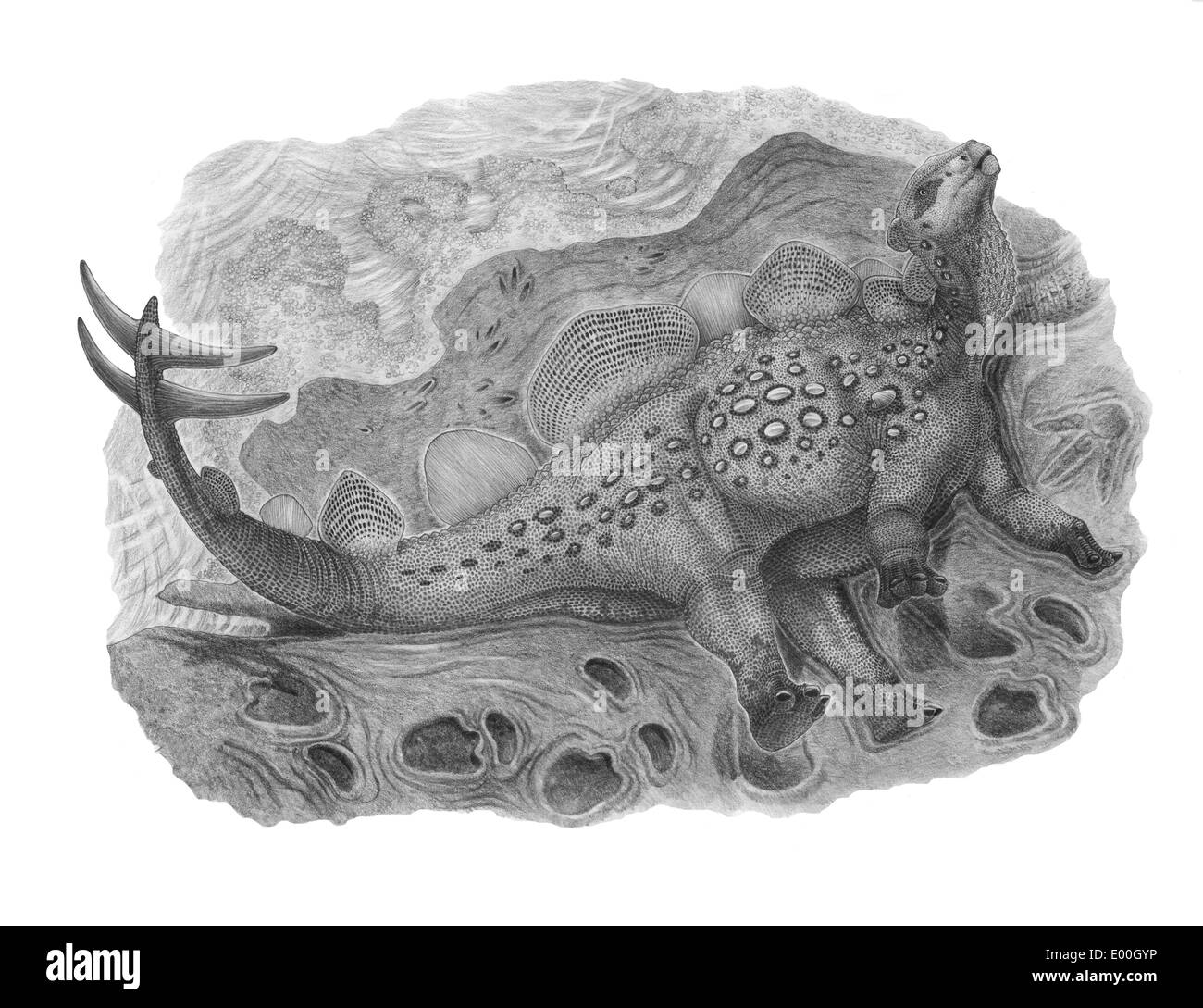 Drawing markings Black and White Stock Photos & Images - Alamy