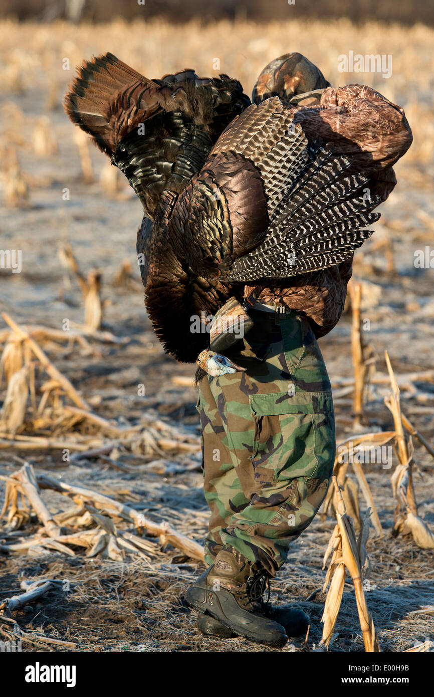 A Young Turkey Hunter Stock Photo - Alamy
