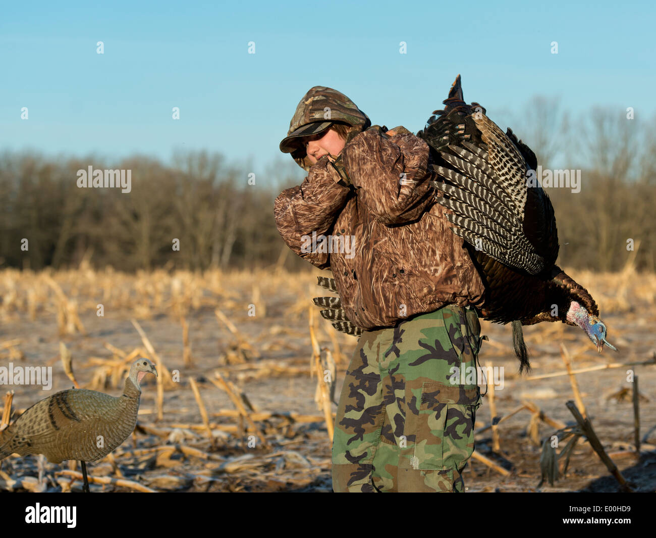 A Young Turkey Hunter Stock Photo - Alamy
