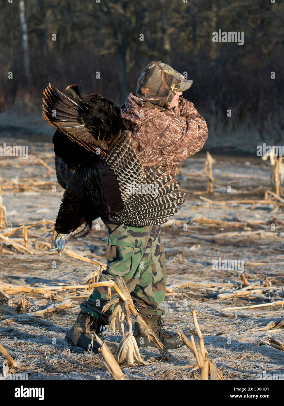 Turkey hunter hi-res stock photography and images - Alamy