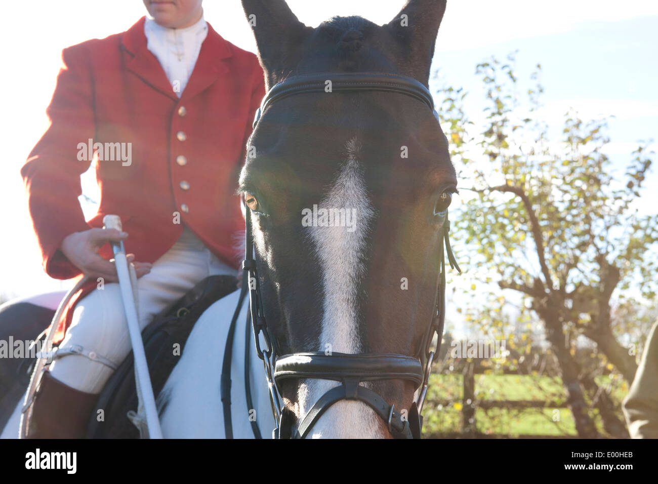 Fox Hunting Jacket High Resolution Stock Photography and Images - Alamy
