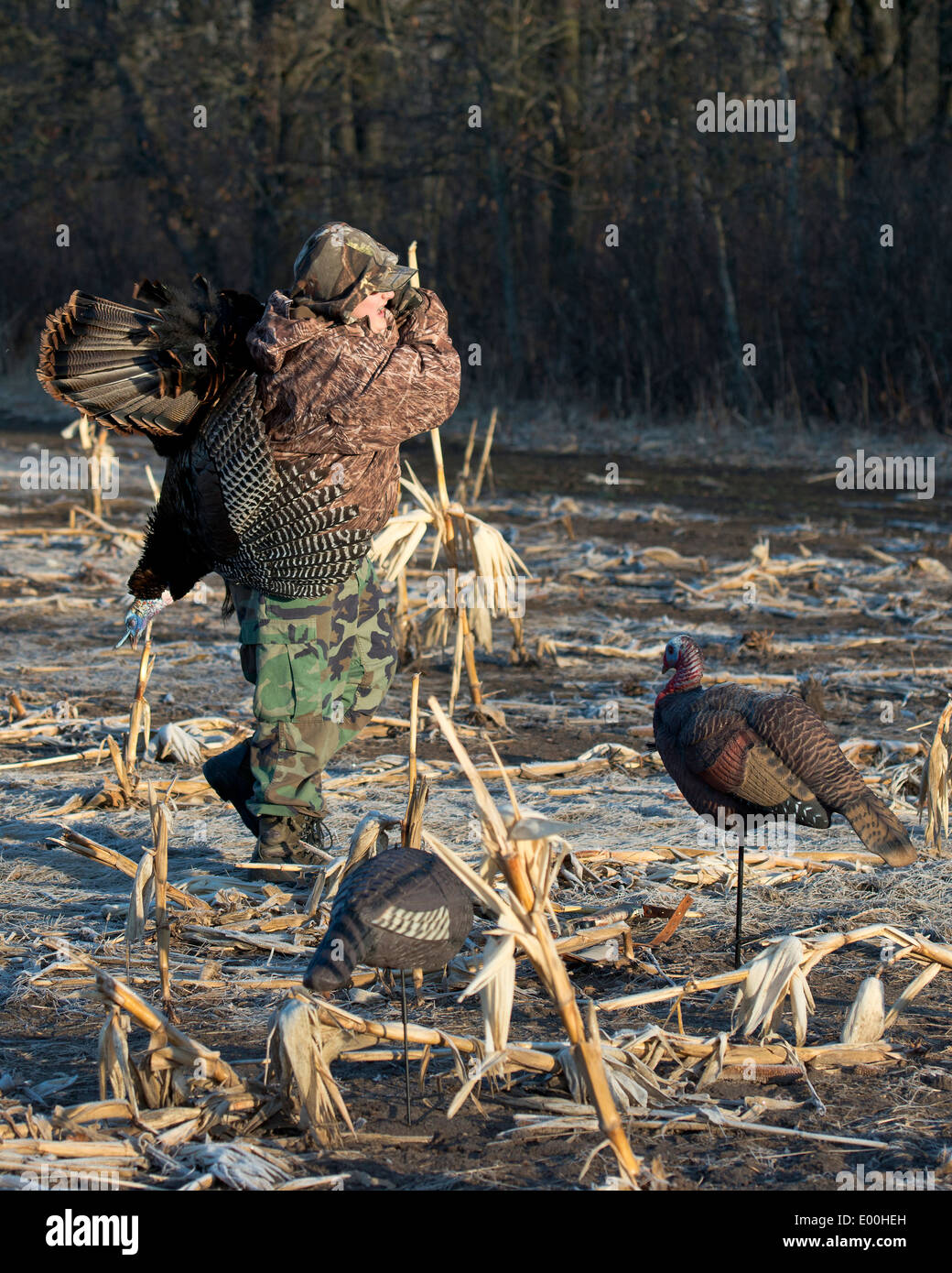 A Young Turkey Hunter Stock Photo - Alamy