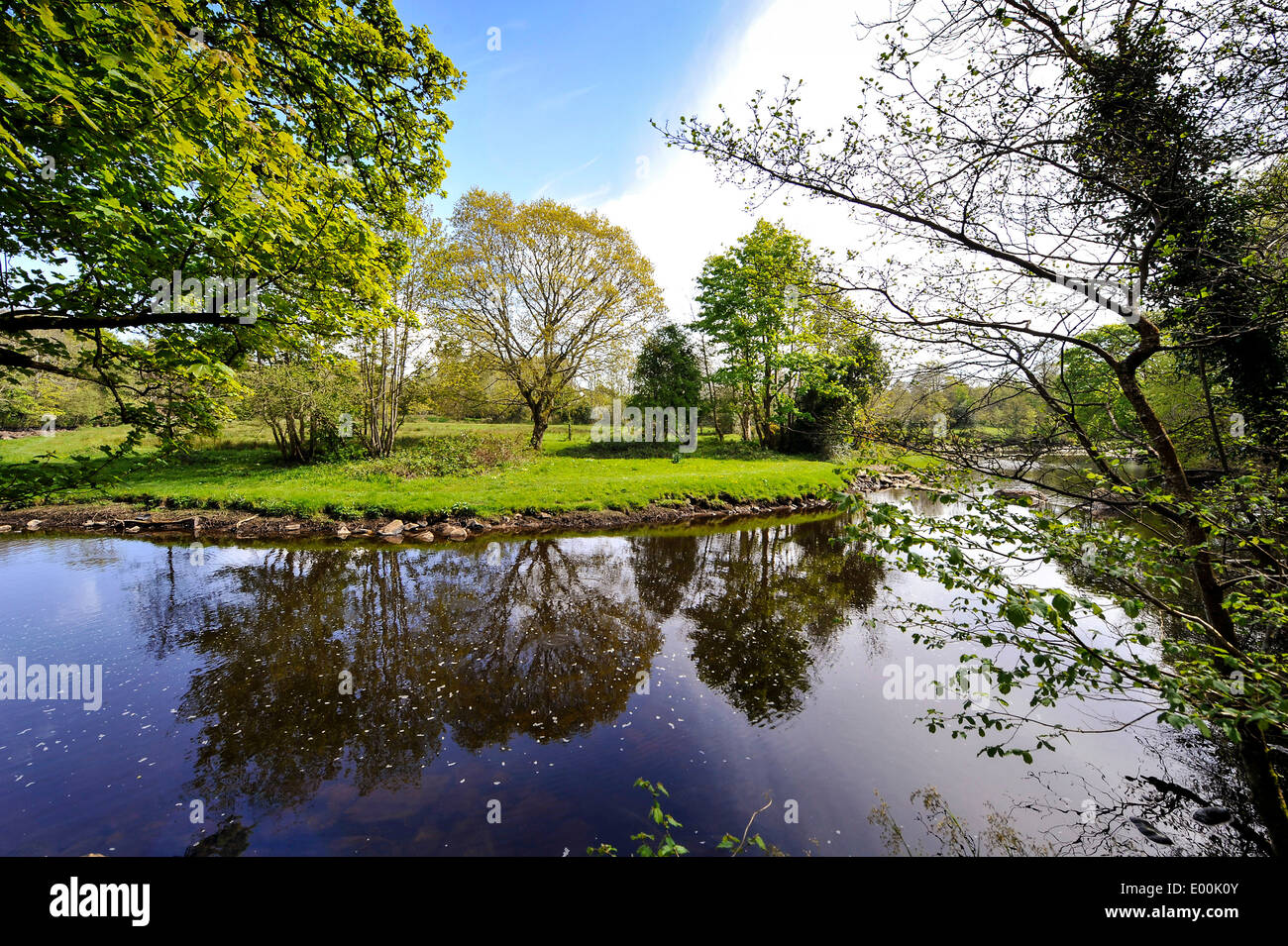 Swan park hi-res stock photography and images - Alamy